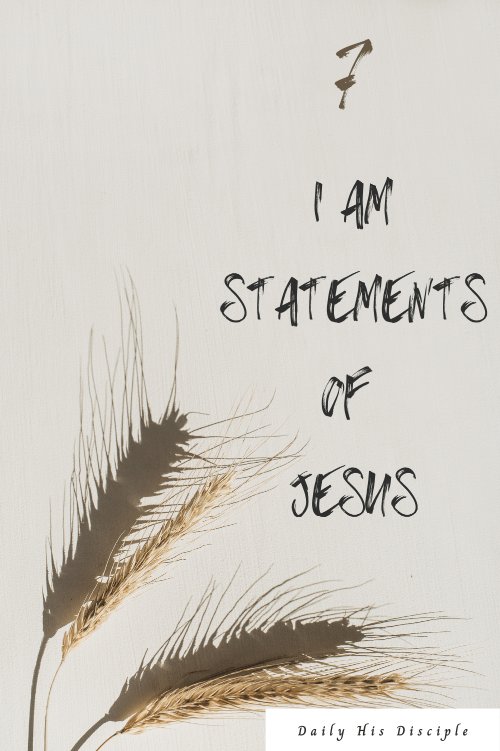 The 7 "I Am" Statements of Jesus - Daily His Disciple