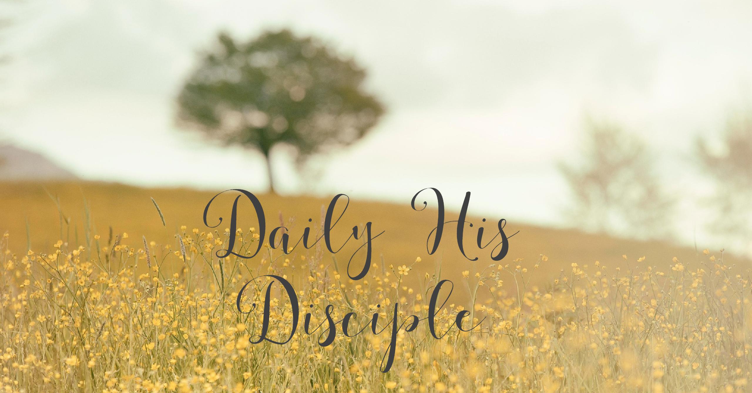 Daily His Disciple Home Page ~ Daily His Disciple