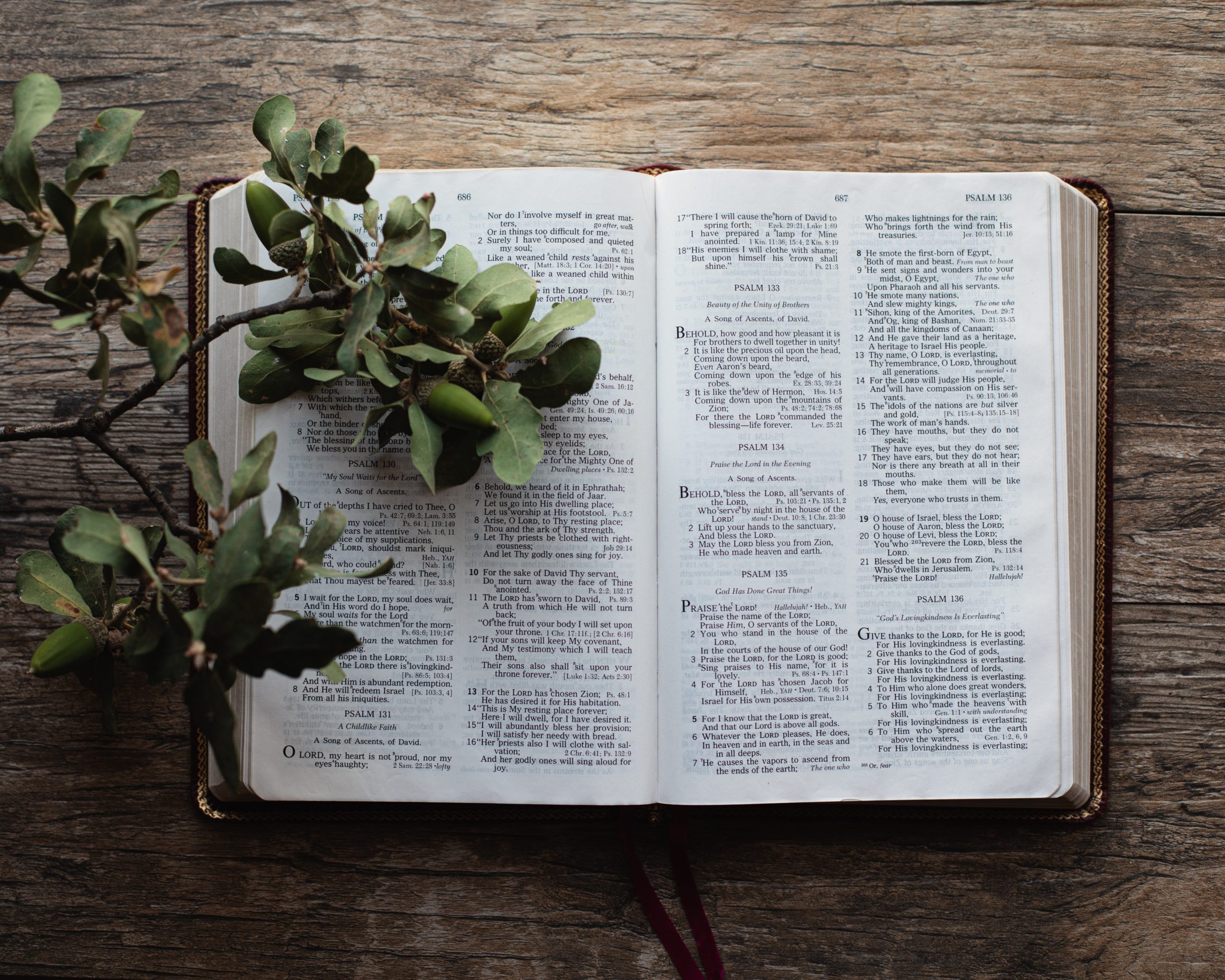 Learning to Be a Discreet Woman - Daily His Disciple