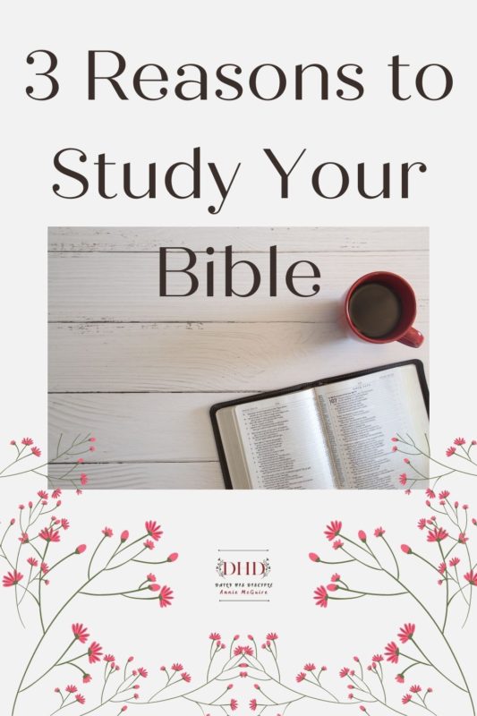 3 Reasons to Study The Bible - Daily His Disciple
