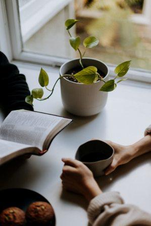 10 Qualities of a Good Steward - Daily His Disciple